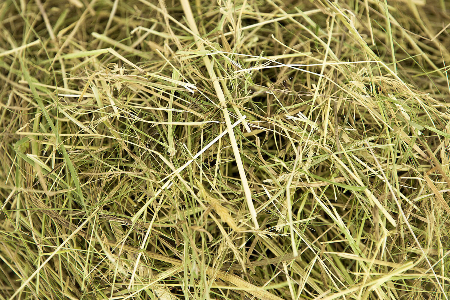 Probeballen Heu - Bio-Qualität - 17kg