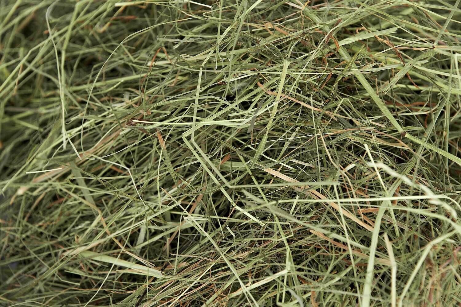 1. Schnitt Heu - Konventionell - HD-Ballen