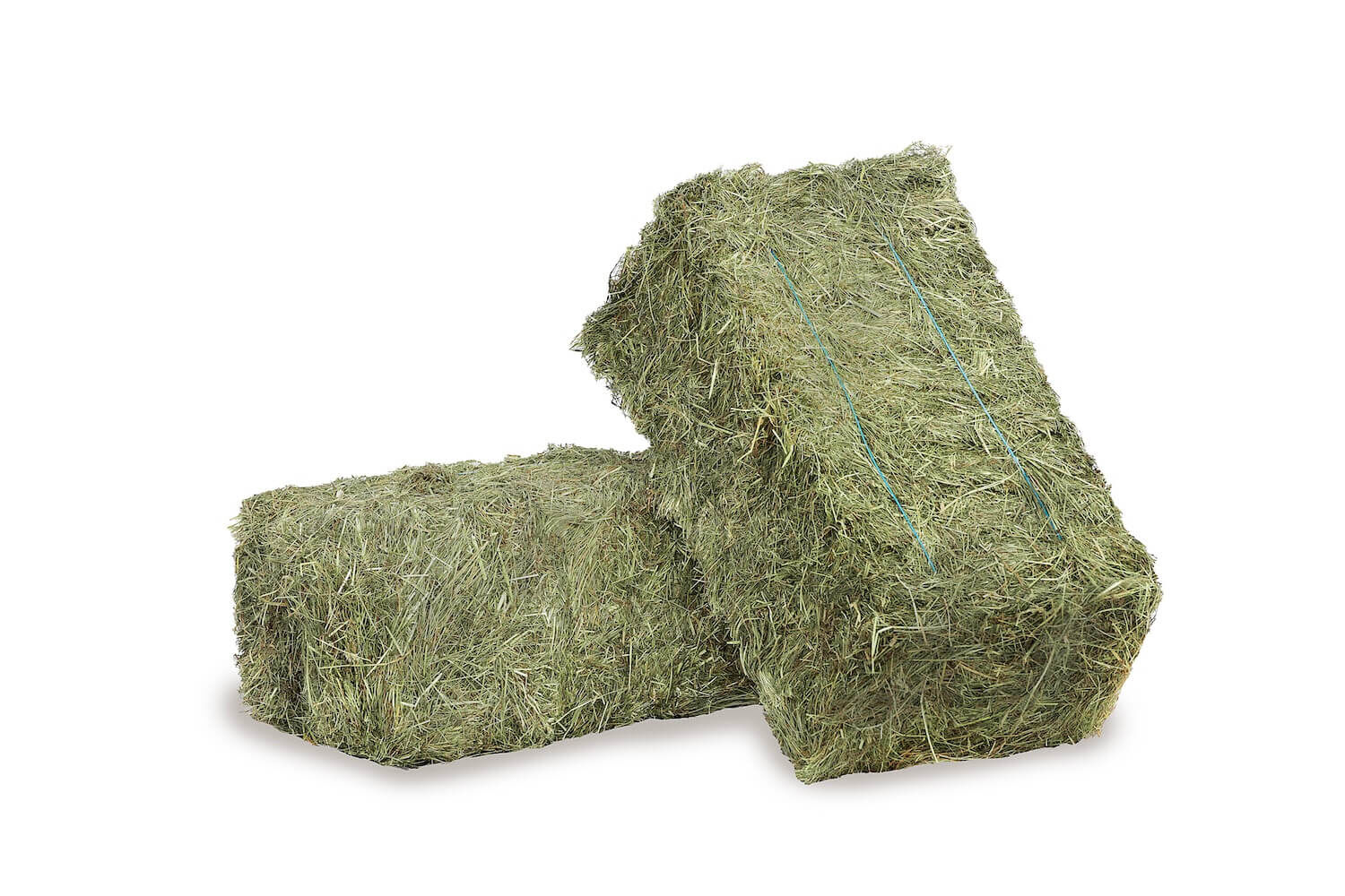 1. Schnitt Heu - Konventionell - HD-Ballen